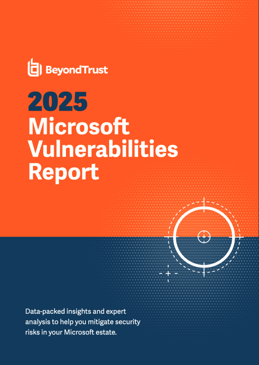 Microsoft Vulnerabilities Report 2025